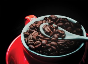 Malvis ® Fototapeta hrnek kávy Vel. (šířka x výška): 432 x 290 cm