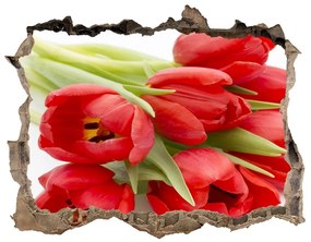 Wallmuralia Samolepící díra na stěnu Červené tulipány 95x64 cm