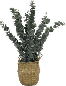 Umělá rostlina eukalyptu v košíku, 50 cm