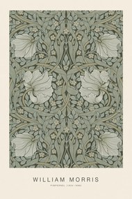 Obrazová reprodukce Pimpernel (Special Edition Classic Vintage Pattern) - William Morris, (26.7 x 40 cm)