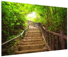Obraz schodů vedoucích krajinou (120x80 cm)