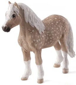 Mojo Velšský pony