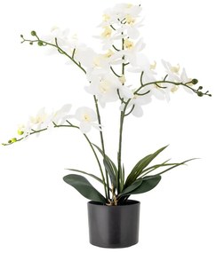 Umělá květina (výška 84 cm) Orchid – Bloomingville