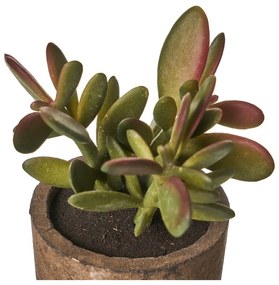 Umělé rostliny v sadě 4 ks (výška 10 cm) Cactus – Casa Selección