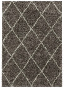 Hans Home | Kusový koberec Alvor Shaggy 3401 taupe - 200x290