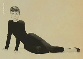 Plakát Audrey Hepburn č.127, 42x30 cm