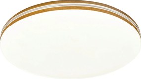 XXXLutz STROPNÍ LED SVÍTIDLO, 34/8/34 cm - Stropní svítidla - 006264066201
