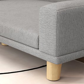 PawHut pohovka pro psy, pohovka pro kočky s polštářem, pelíšek pro velké psy, pohovka pro psy s vyvýšeným designem, křeslo pro psy s dřevěnými nohami…