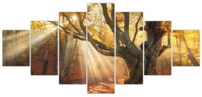 Obraz - Podzimní svit (210x100 cm)