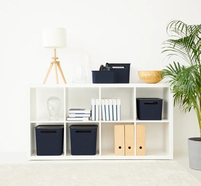 Rotho Úložný box s víkem a s madly BRISEN 18l, 29x29x29cm, černý