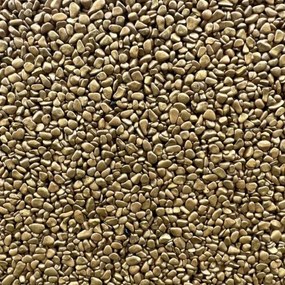 Báča Beton Obkladové desky z kamenného koberce Gold