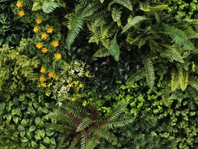 WALL GREEN fern and yellow flowers, dílec 100 x 100 cm