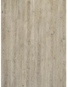 Tajima, Vinylová podlaha lepená Tajima Classic Ambiente 6620 světle šedá, 1219,2 x 177,8 mm