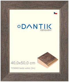 DANTIK rámeček 40x50 | TOMAS šedá velká (Sklo Čiré)