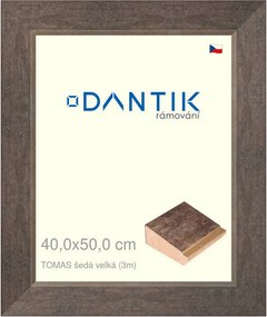 DANTIK rámeček 40x50 | TOMAS šedá velká (Sklo Čiré)