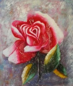 Červená růže - 120 x 90 cm