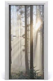 Fototapeta na dveře mlha v lese 85x205 cm