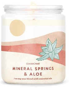 Goose Creek Candle svíčka Mineral Springs & Aloe, 198 g