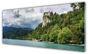 Plexisklo-obraz Zámek v Horách Les Krajina 125x50 cm