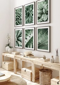 Plakát / Obraz Kaktusový květ S okrajem Pololesklý saténový papír 210 g/m² A4 - 21 x 29,7 cm