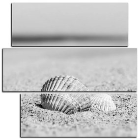 Obraz na plátně - Moře a mušle - čtverec 3126QD (75x75 cm)