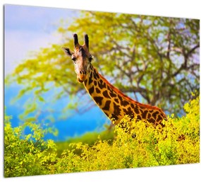 Obraz žirafy v Africe (70x50 cm)