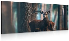 Obraz jelen v lese - 120x60 cm