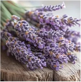 Yankee Candle Dried Lavender  Oak Signature Malý