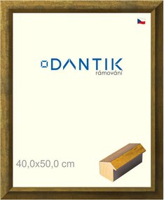 DANTIK rámeček 40x50 | Forgia Gold (Sklo Čiré)