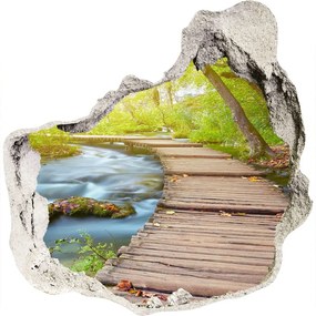Wallmuralia Nálepka fototapeta 3D výhled Stezka v lese 75x75 cm