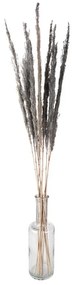 Přírodní šedá kytice sušené květy trávy - 100 cm (10ks)