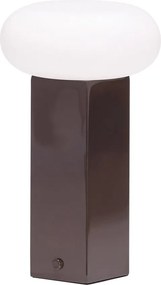 Hnědá kovová LED stmívatelná stolní lampa se skleněným stínidlem (výška 20 cm) Low – Hübsch