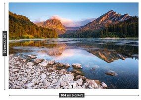 Fototapeta Švýcarské Alpy 104x70