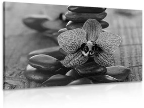 Obraz orchidej a Zen kameny v černobílém provedení Varianta: 120x80