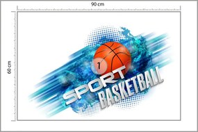 Fototapeta Basketbal V Moderním Stylu Vliesová tapeta 254x184