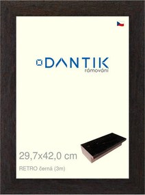 DANTIK rámeček 29,7x42 | RETRO černá (Plexi Čiré)