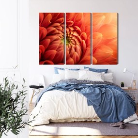 Vícedílný obraz Oranžová Chryzantéma V Makro Měřítku Nedostatek Nedostatek Plátno Canvas 150x100