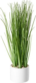 XXXLutz DEKORAČNÍ TRÁVA 30 cm Ambia Home - Dekorační tráva - 0039530040