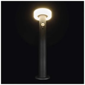 LED Solární lampa se senzorem LED/2W/3,7V 1200 mAh IP44 50 cm