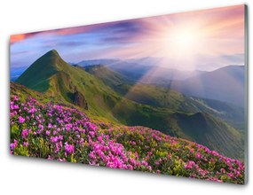 Obraz na skle Hory Louka Květiny Krajina 120x60 cm