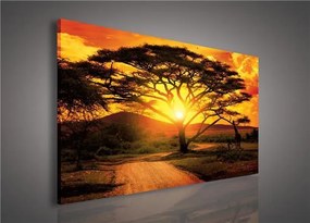 Obraz na plátně Austrálie při západu slunce 75 x 100 cm