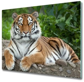 Skleněná krájecí deska Sibiřský tygr 60x52 cm