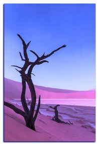 Obraz na plátně - Mrtvý strom v dunách - obdélník 7130FA (60x40 cm)