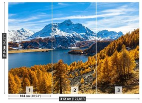 Fototapeta Jezero Alpy 104x70