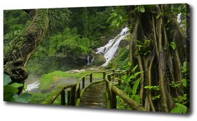 Wallmuralia Foto obraz na plátně Vodopád v džungli 100x50