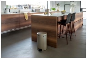 Brabantia NewIcon Pedálový koš 20 L Champagne 304460