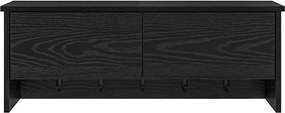 věšák, nástěnný, s dvířky, háčky, kompozitní dřevo, 30x80x20 cm, černý dub, Dekorino TK20260024