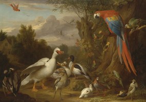 Postershop Fototapeta: Ducks, Parrots and Other Birds in a Landscape - 104x152,5 cm