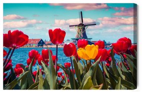Obraz Tulipány Na Pozadí Holandského Větrného Mlýna Nedostatek Nedostatek Přírodní plátno 90x60