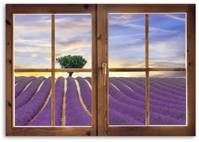Obraz na plátně Výhled z okna na levandulové pole - 120x80 cm